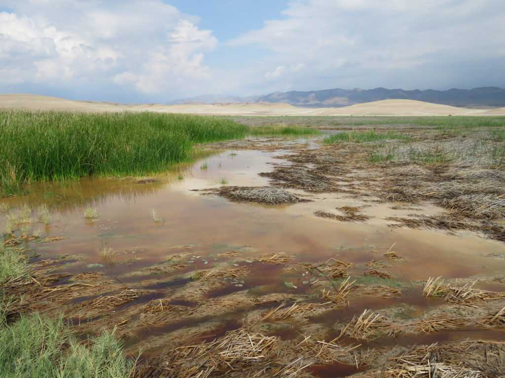 Breaking News: 600,000+ Acres of Amargosa Basin Public Lands Protected ...