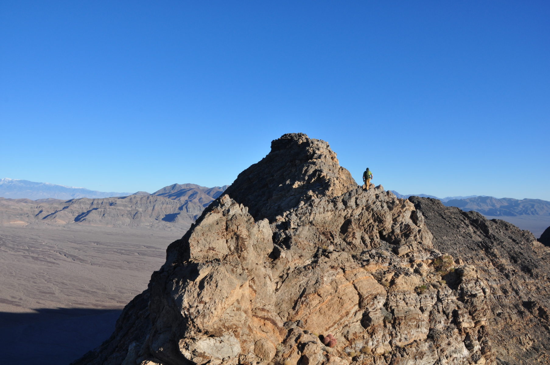 Amargosa Conservancy - A River in the Desert | Amargosa Conservancy