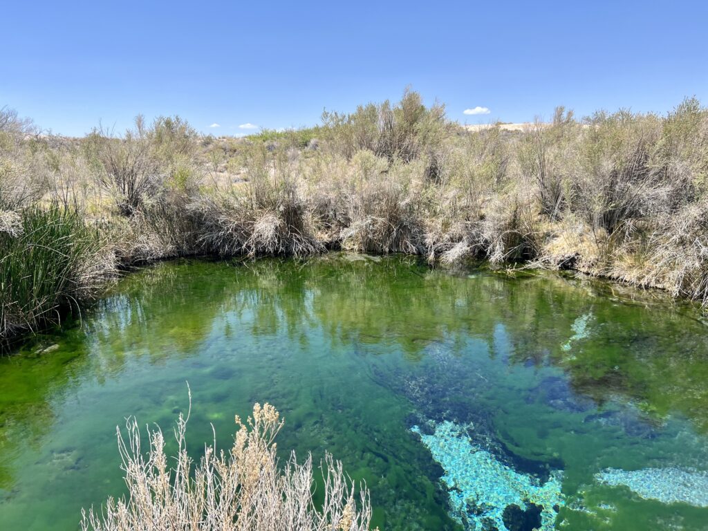 Discover: Ash Meadows National Wildlife Refuge - Amargosa Conservancy