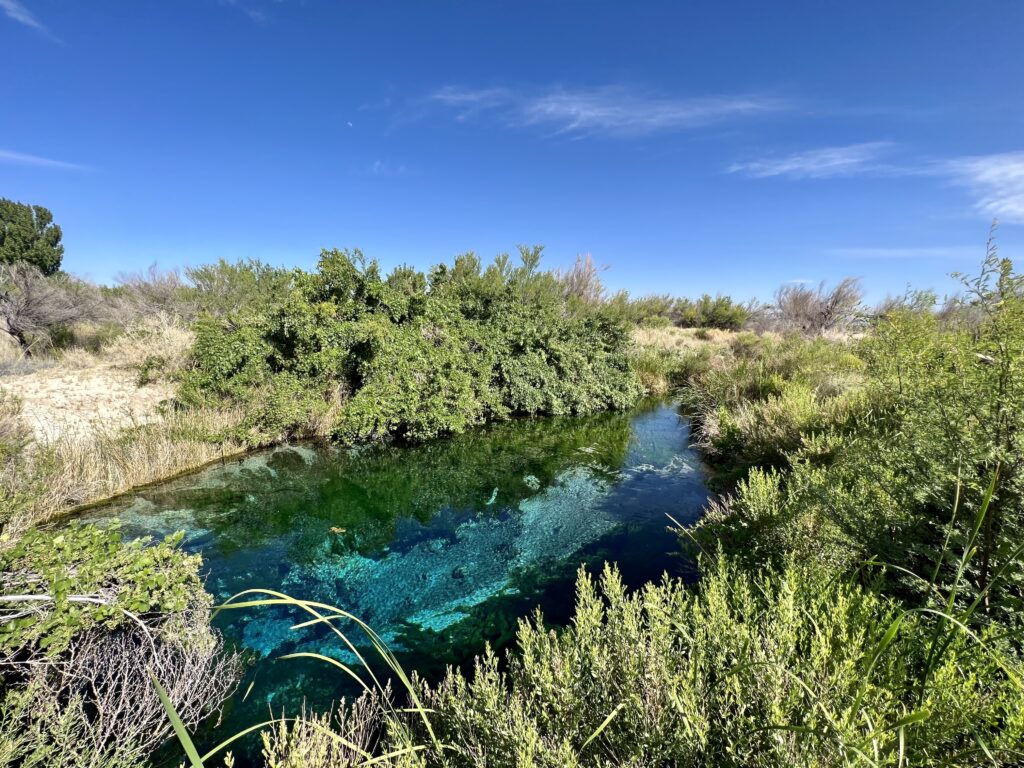 Discover: Ash Meadows National Wildlife Refuge - Amargosa Conservancy
